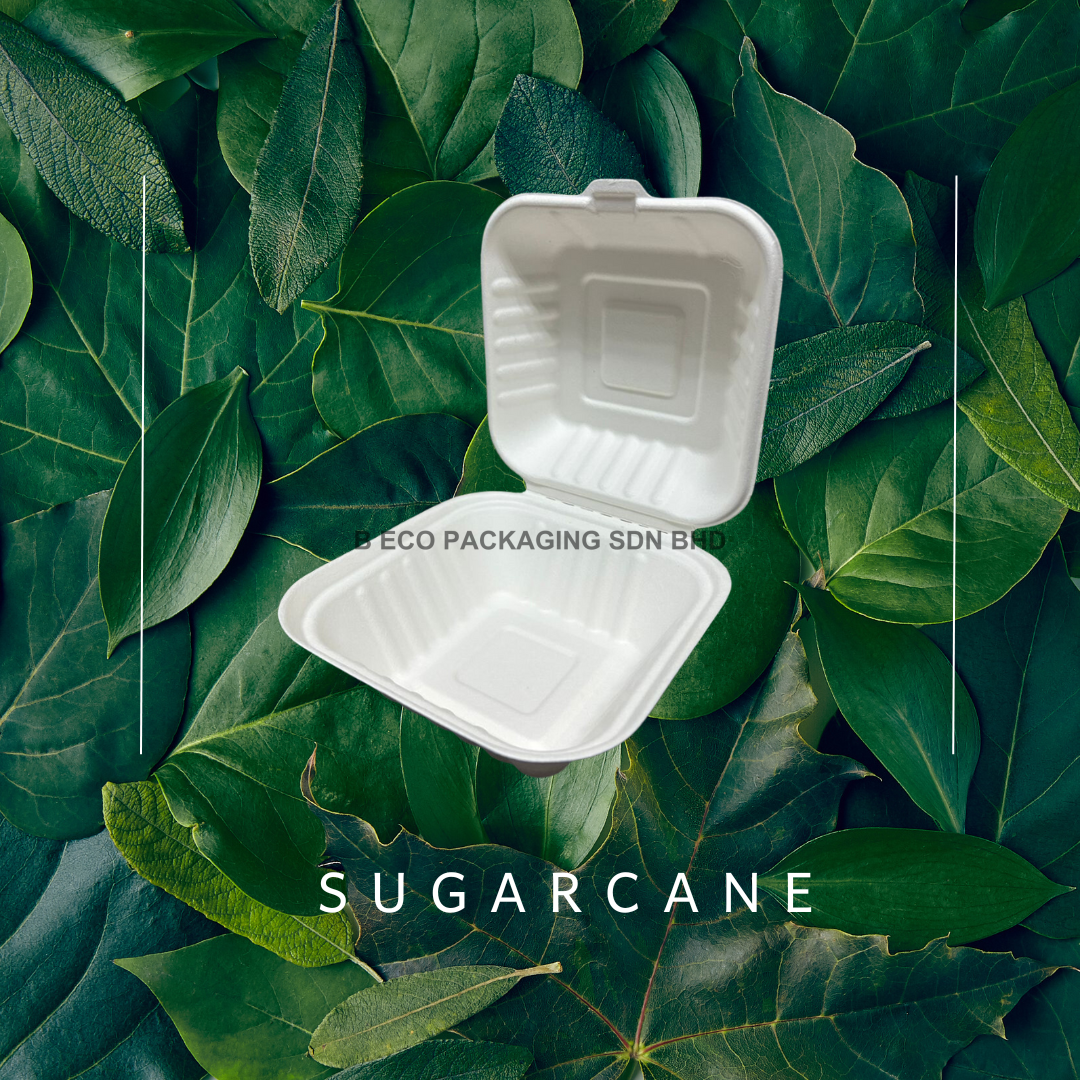 Biodegradable Sugarcane Burger Box 6″ x 6″